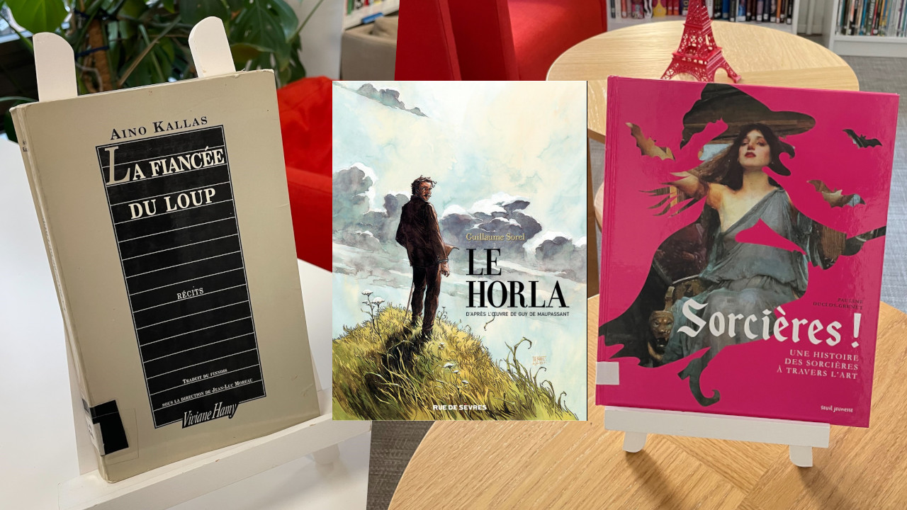 Recommandations de lecture - Institut français