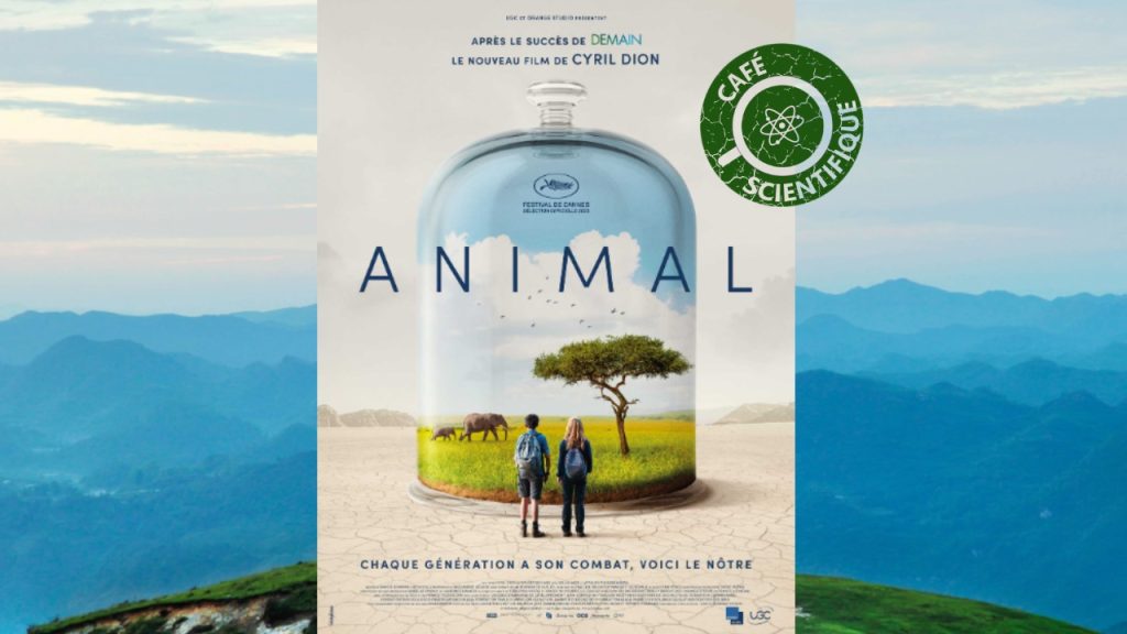 What is the role of nature for humans? - Institut français