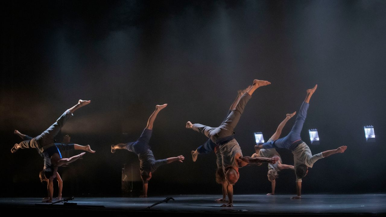 The Ostrich Complex: Guided Tour and Acrobatic Performance - Institut ...